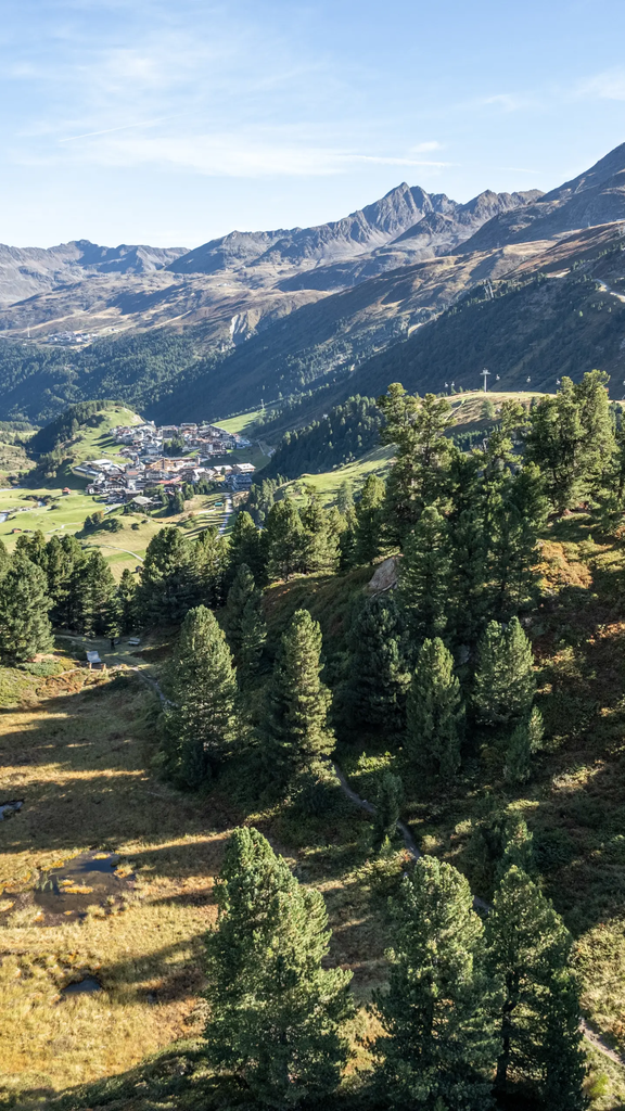 Zirbenwald | Gurgl | gurgl.com